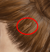 Content Dev:CC 3.4 Hair Mesh Production - Reallusion Wiki!